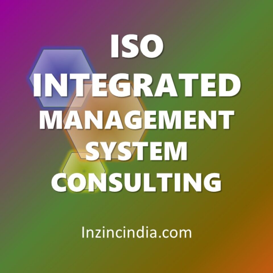 ISO Integrated Management System Consultants in India